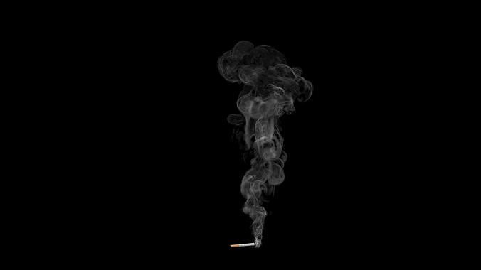 Cigarette and smoke fog 3D model | CGTrader