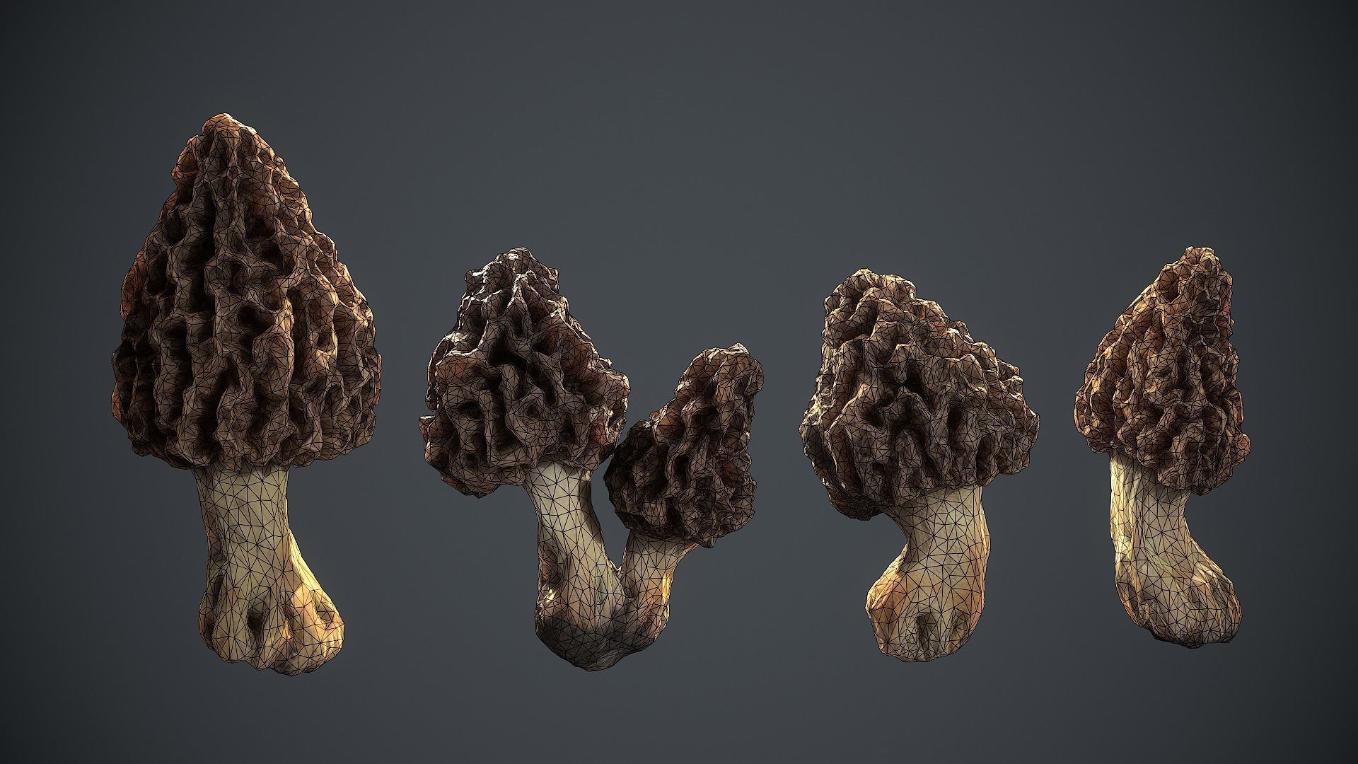 3D model Forest Mushrooms - Morel Fungi VR / AR / low-poly | CGTrader