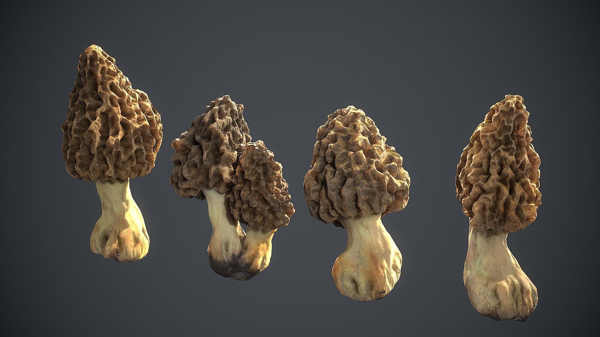 3D model Forest Mushrooms - Morel Fungi VR / AR / low-poly | CGTrader