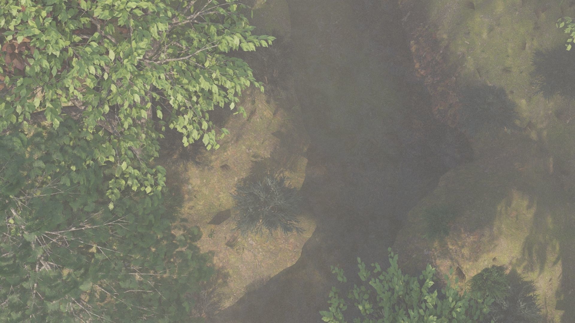 swamp 3D model animated | CGTrader