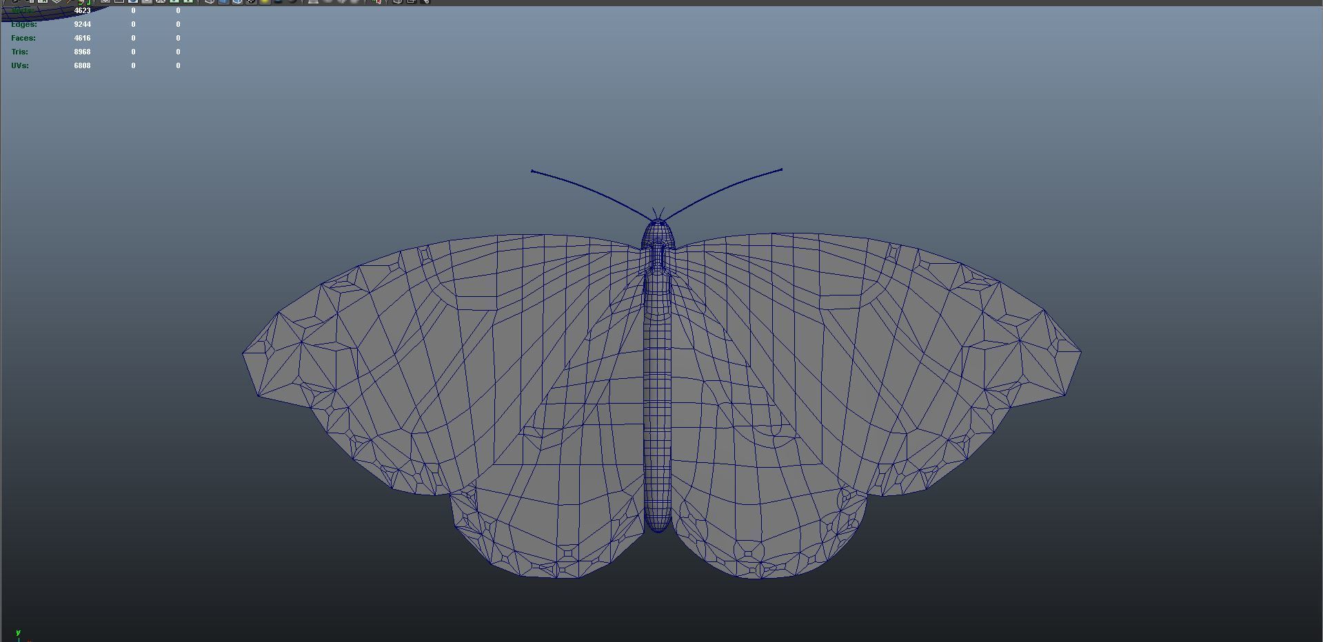 butterfly life cycle anatomy 3D model | CGTrader