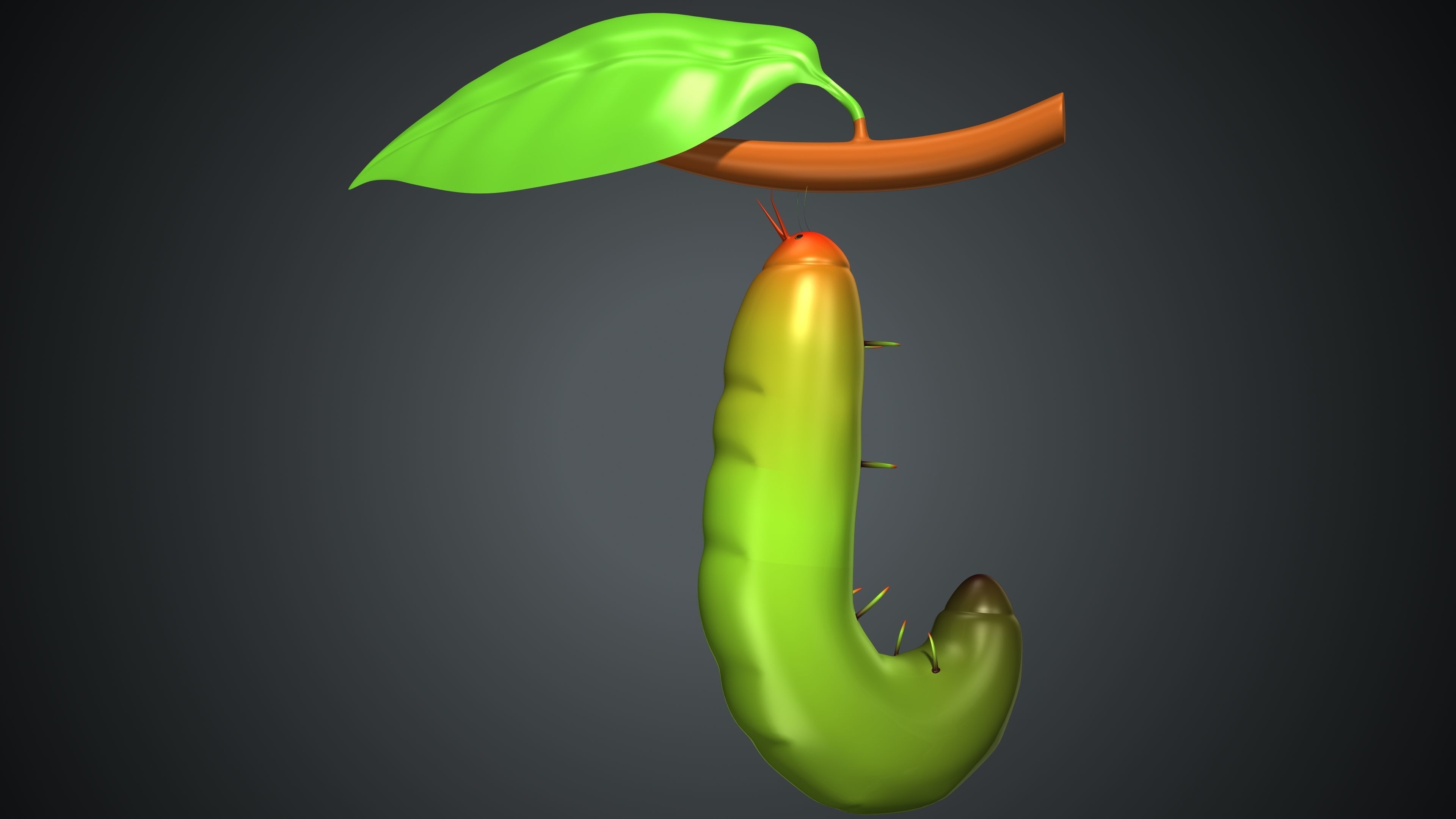 butterfly life cycle anatomy 3D model | CGTrader