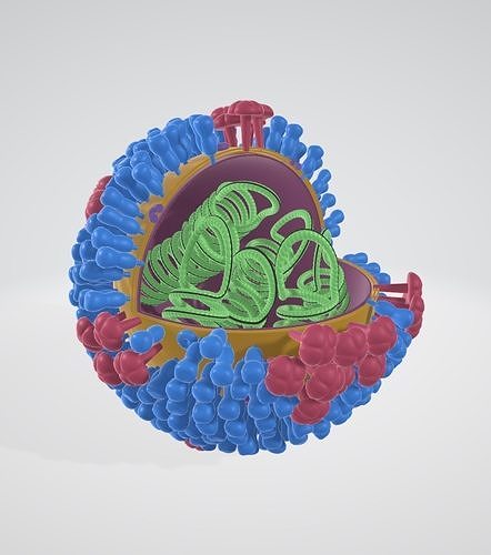 3d Influenza Microbes