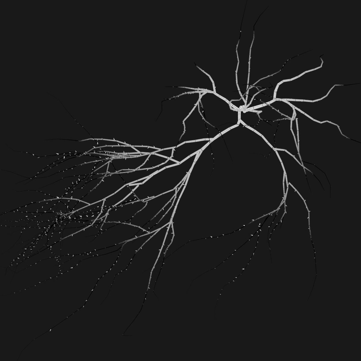 3D model Thin Branch VR / AR / low-poly | CGTrader