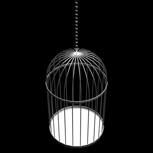 3D model Low-poly Bird Cage 1 VR / AR / low-poly | CGTrader
