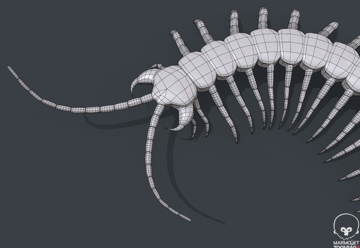3D model Pbr Centipede VR / AR / low-poly | CGTrader