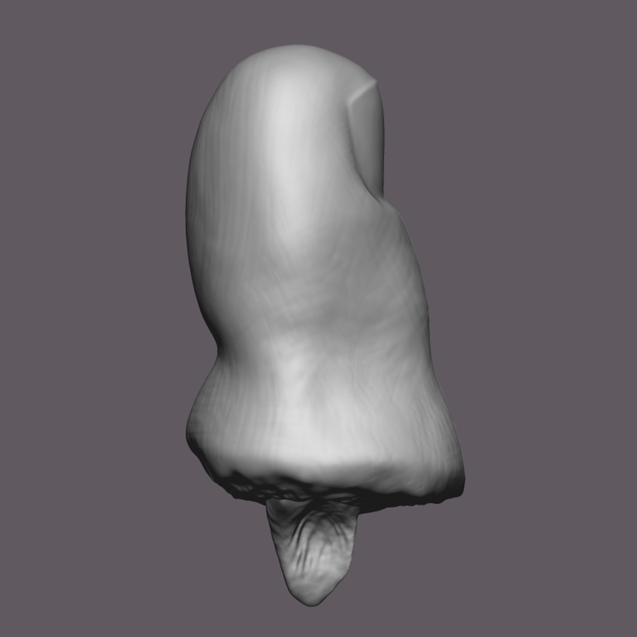 Severed Toe 3D Print Model 3D model 3D printable | CGTrader
