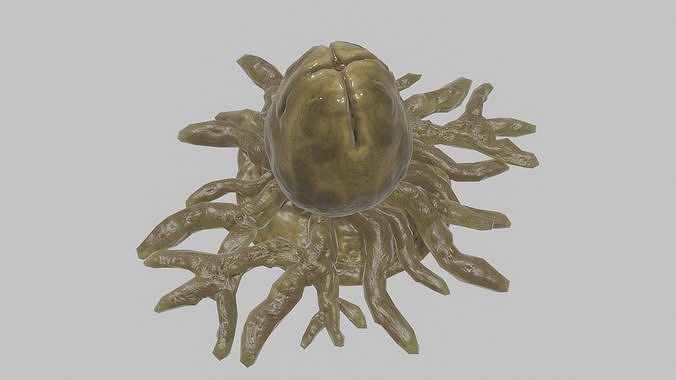 3D model Alien egg with nest pbr VR / AR / low-poly | CGTrader