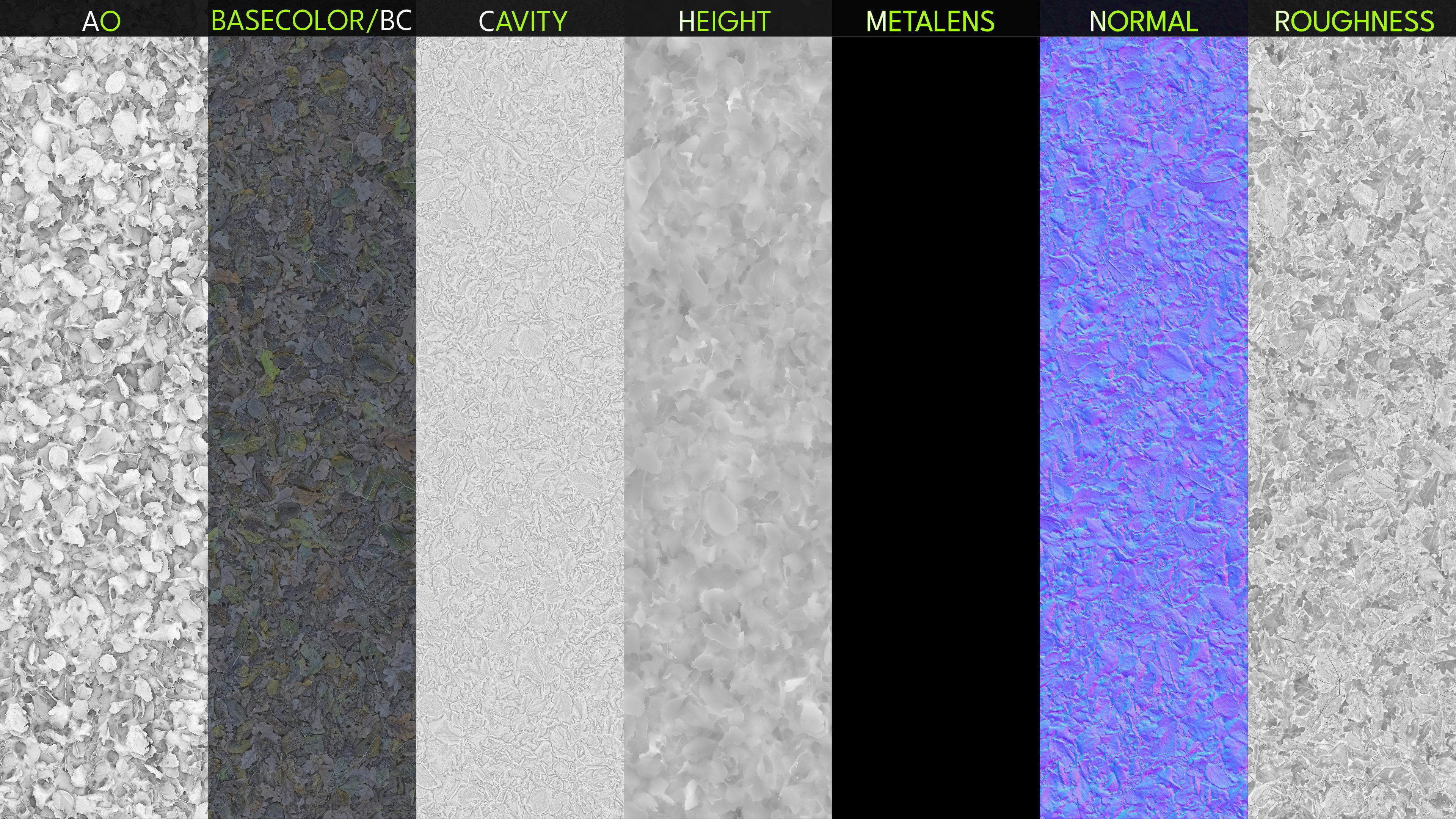 Mixed-Leves 02 Texture | CGTrader