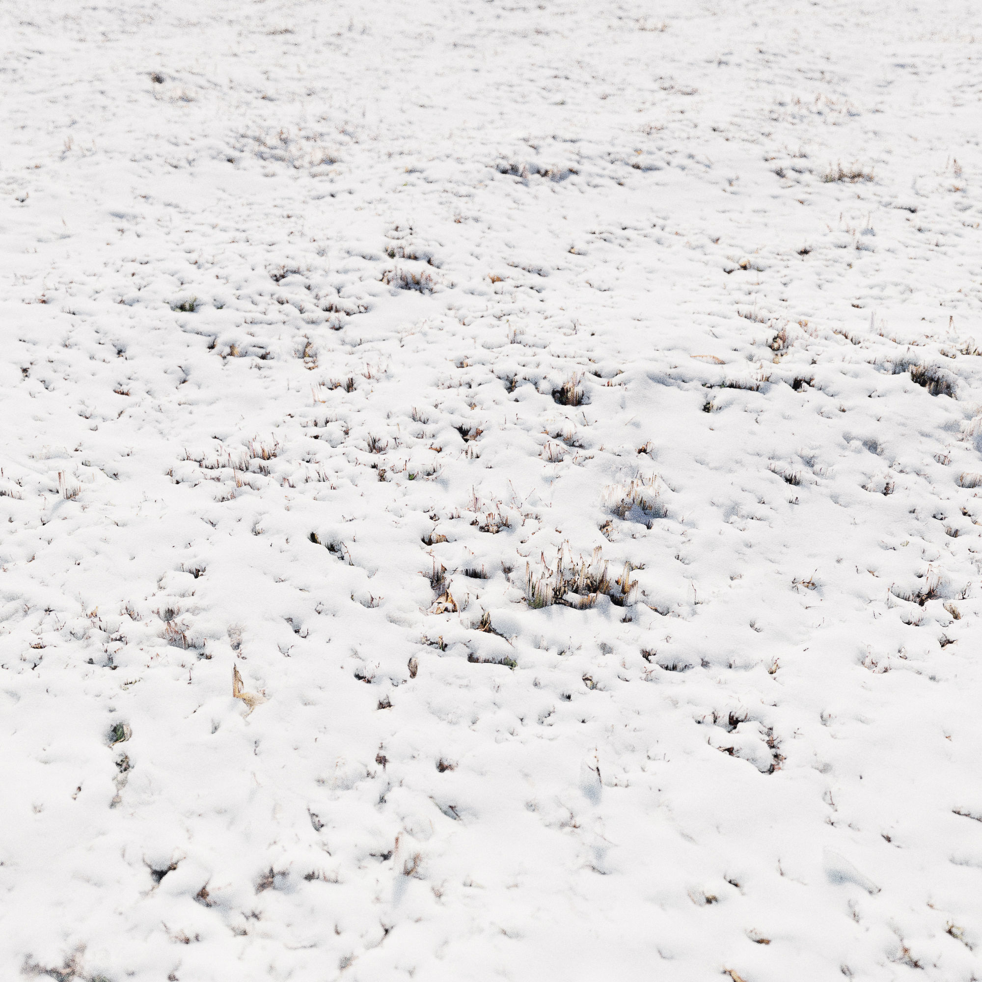 Ultra realistic Snow ground 3 2021 Hq Scan 3D model 3D model | CGTrader