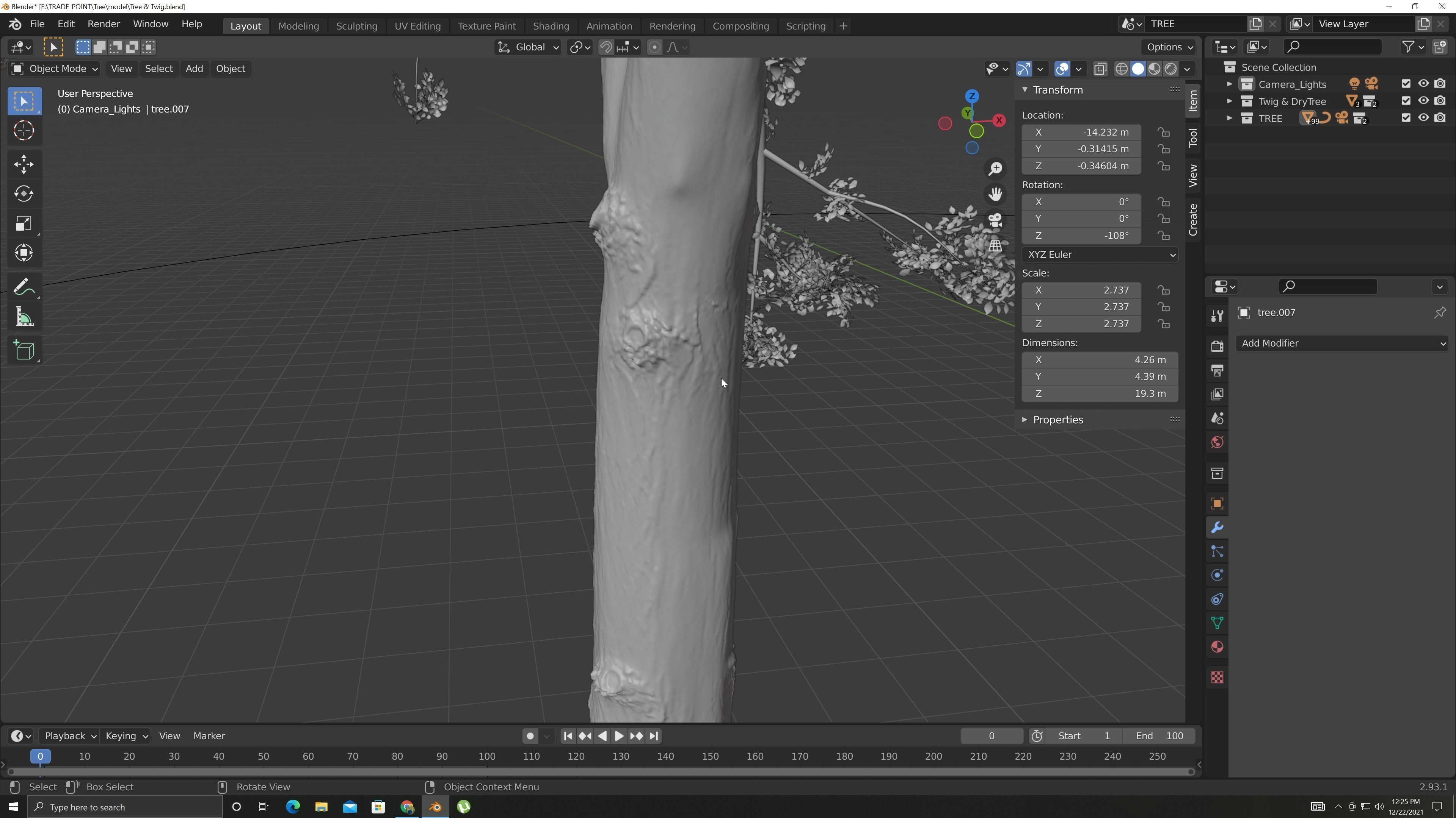 Tree and Twig 3D model animated rigged | CGTrader