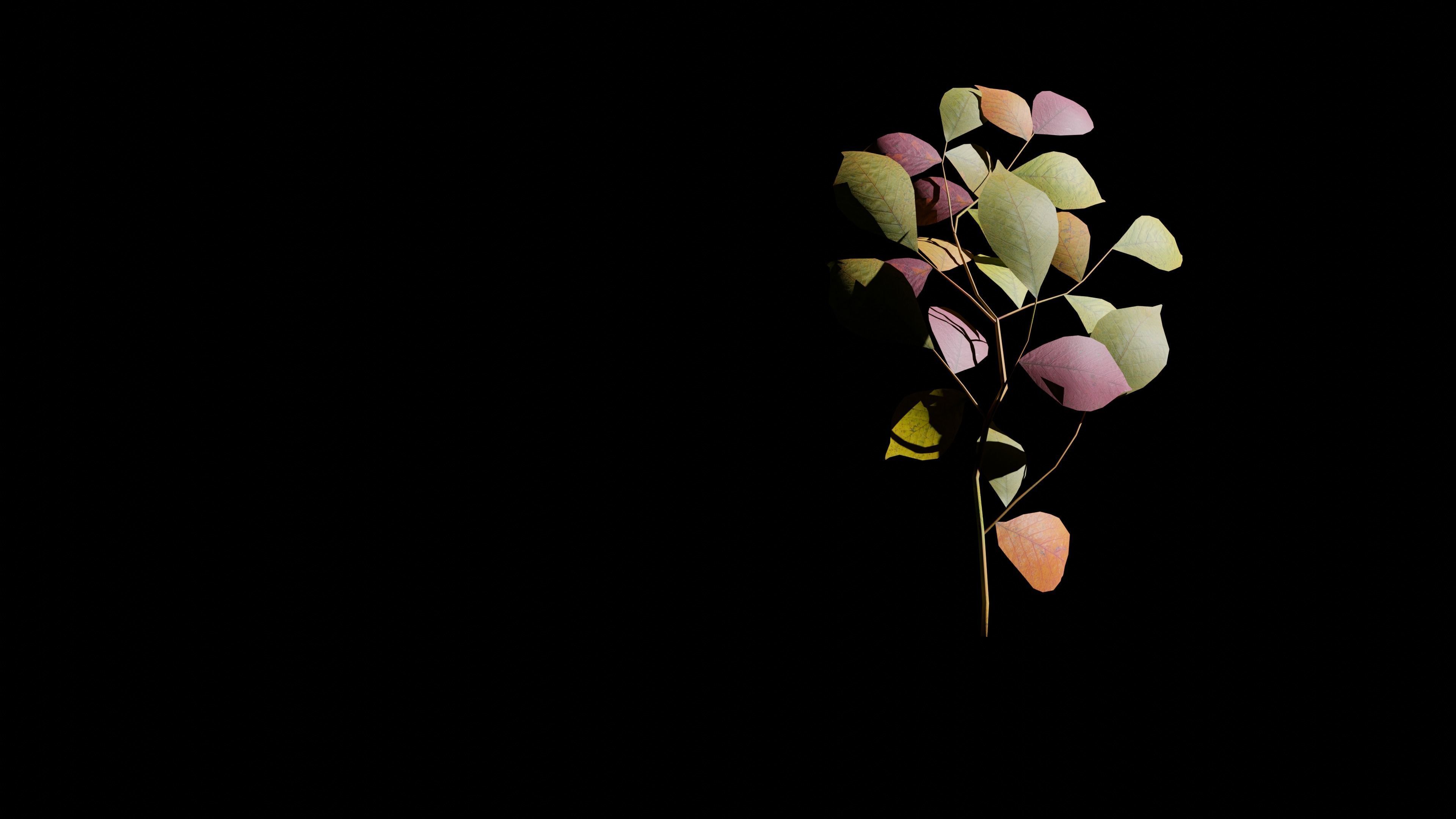 Tree and Twig 3D model animated rigged | CGTrader