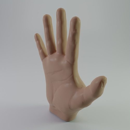 Male right hand free VR / AR / low-poly 3D model animated rigged | CGTrader