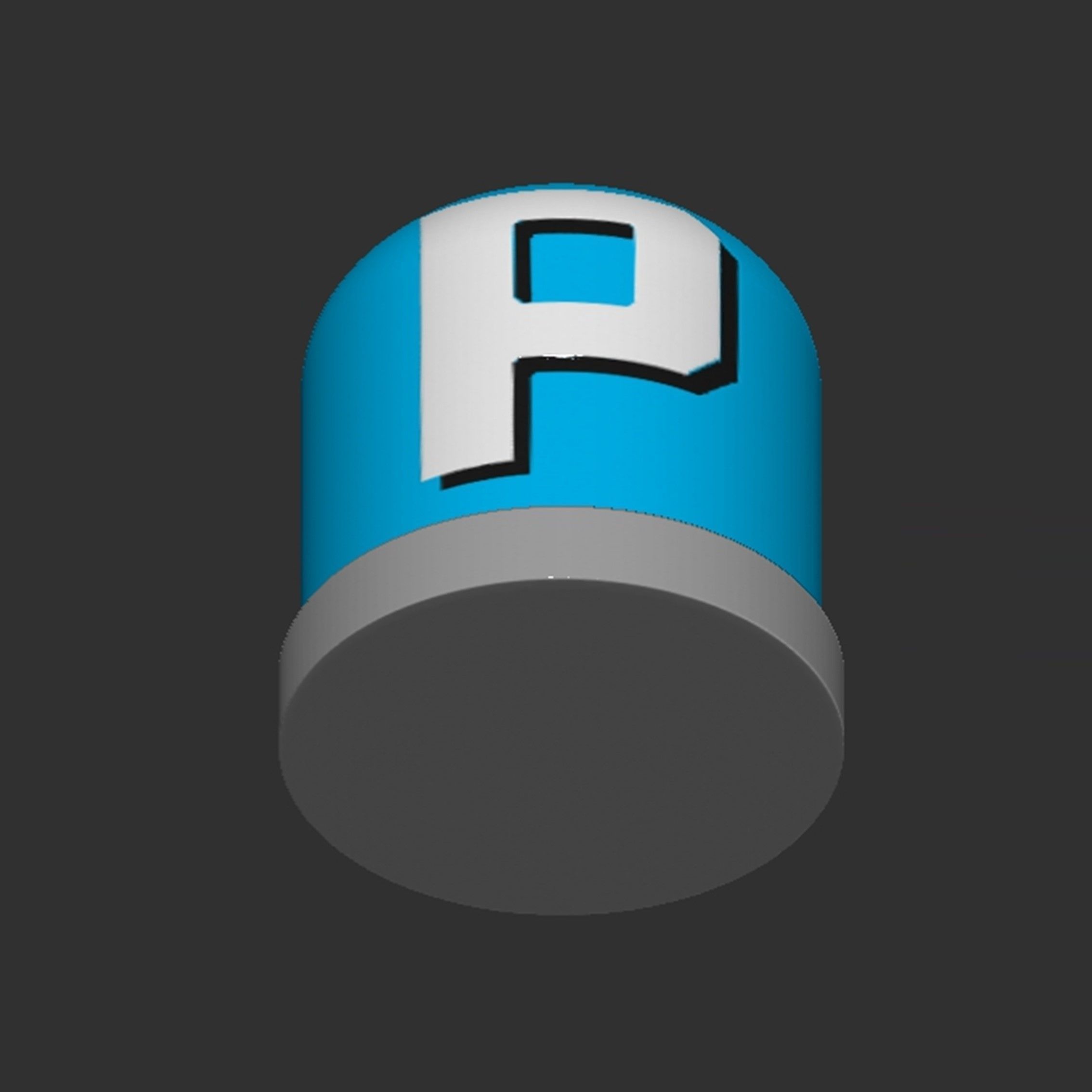 P Switch Button 3D model 3D printable | CGTrader