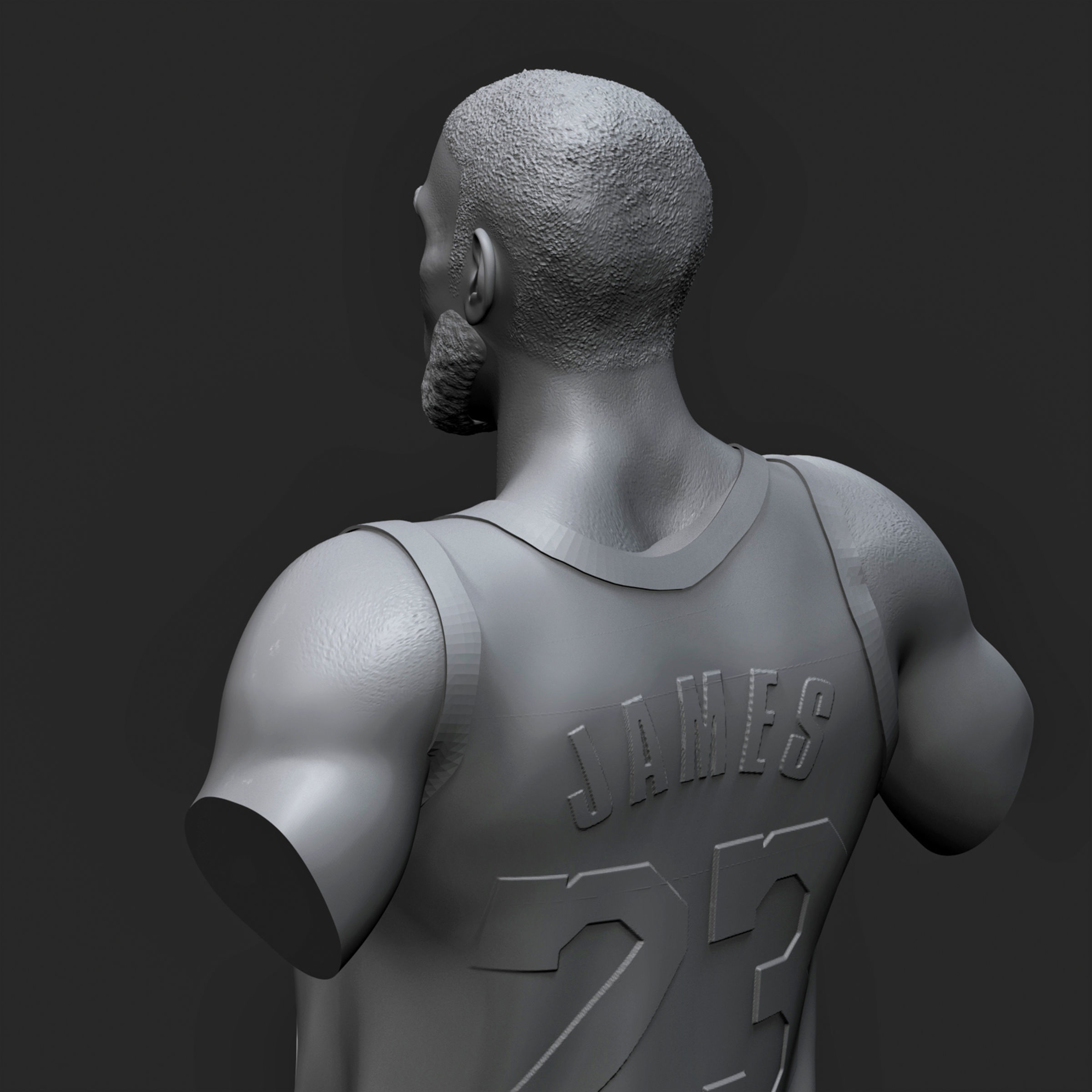 LeBron James 3D Printable 1 3D model 3D printable | CGTrader