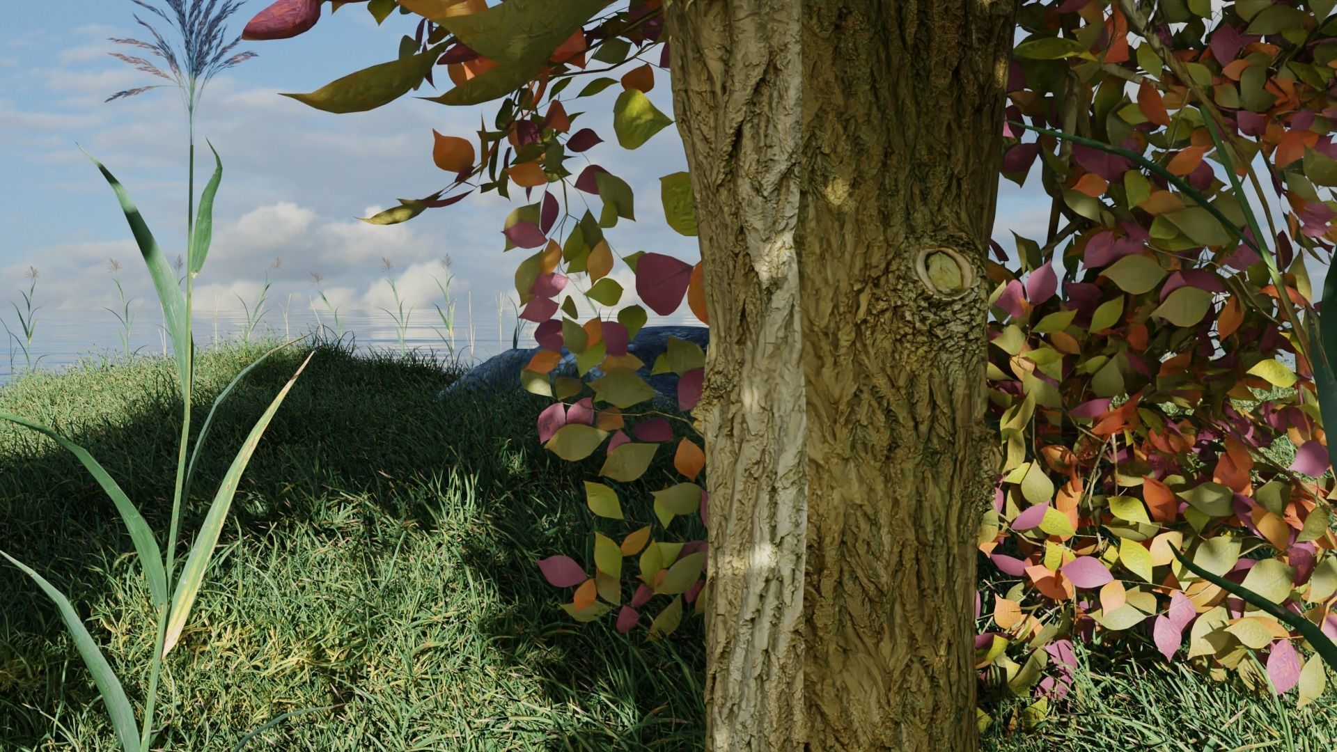 NATURE 3D model animated rigged | CGTrader