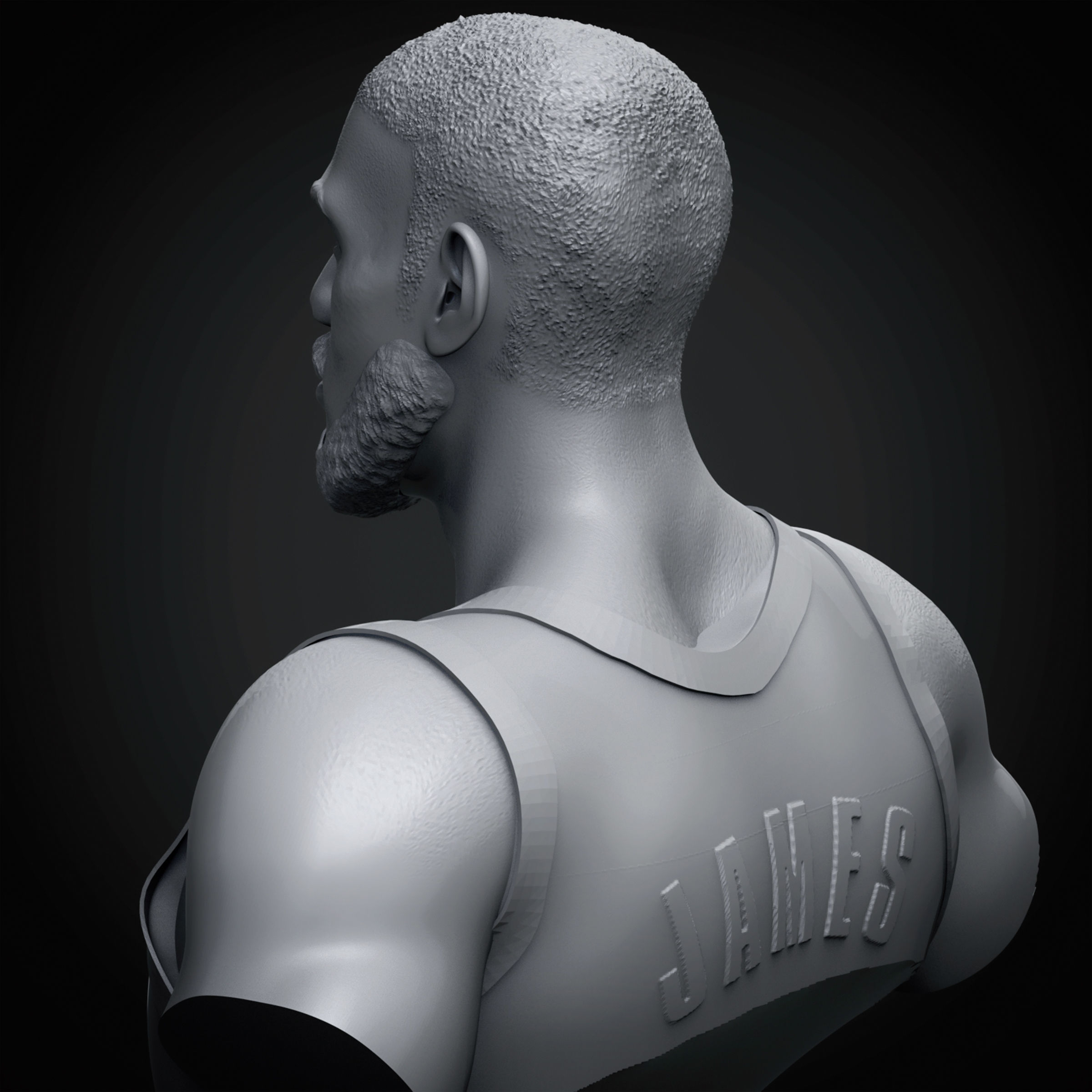 LeBron James 3D Printable 3 3D model 3D printable | CGTrader