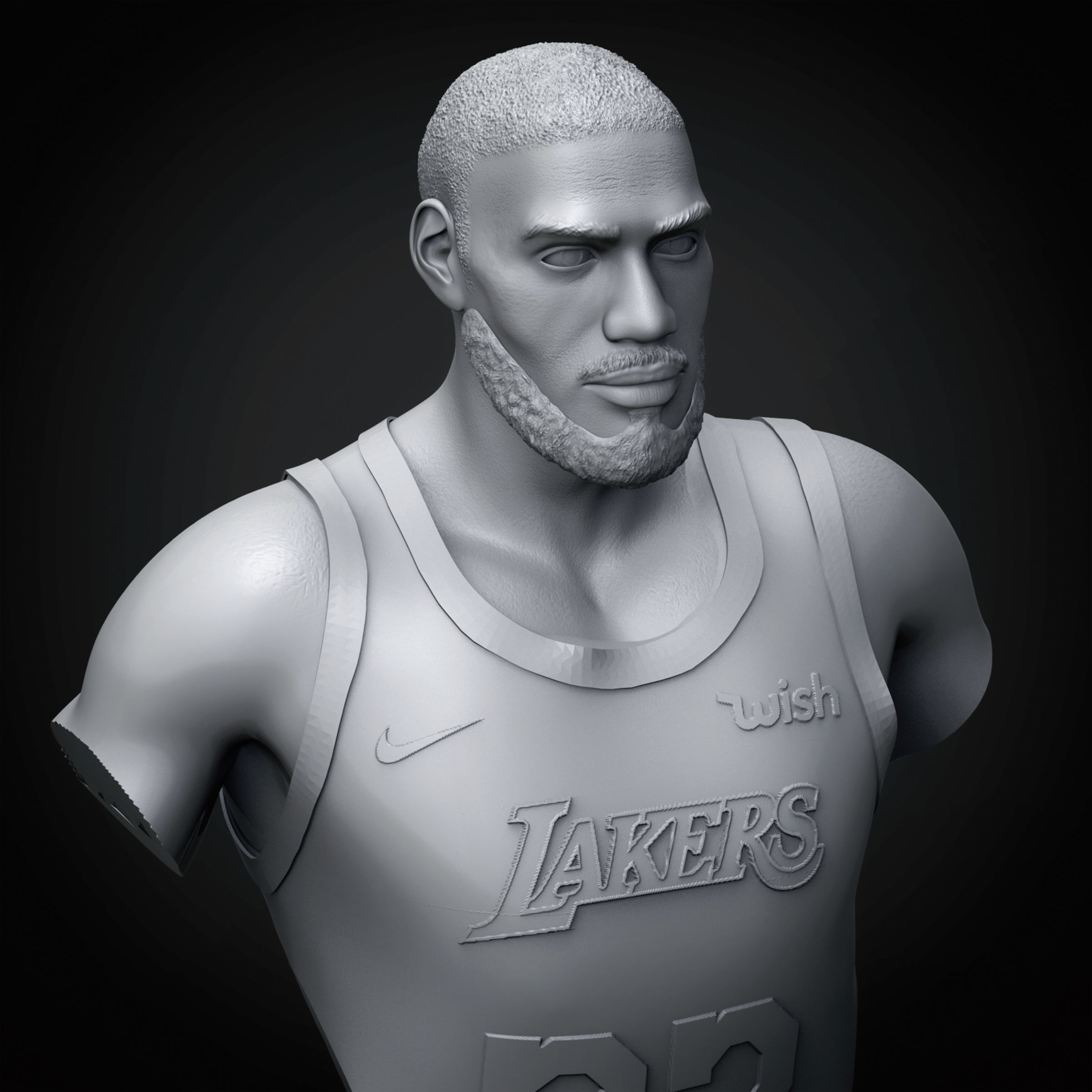 LeBron James 3D Printable 3 3D model 3D printable | CGTrader