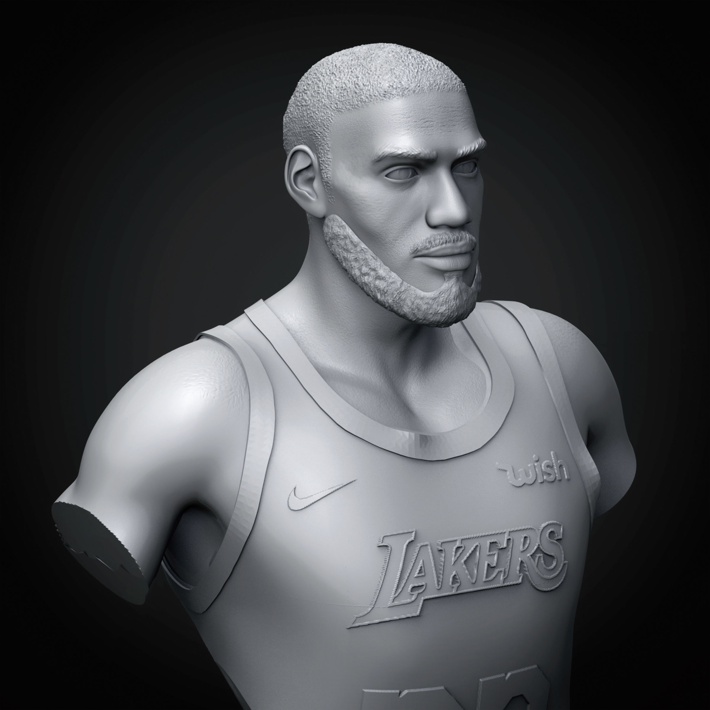 LeBron James 3D Printable 3 3D model 3D printable | CGTrader