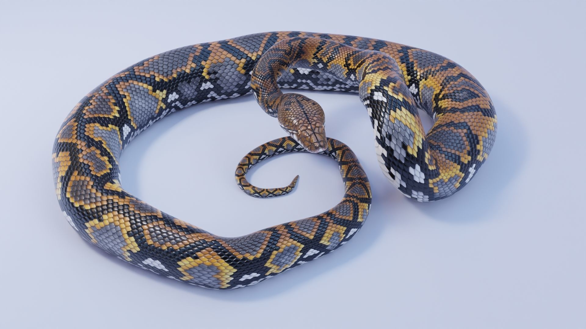 3D model Reticulated Python - Animated VR / AR / low-poly | CGTrader