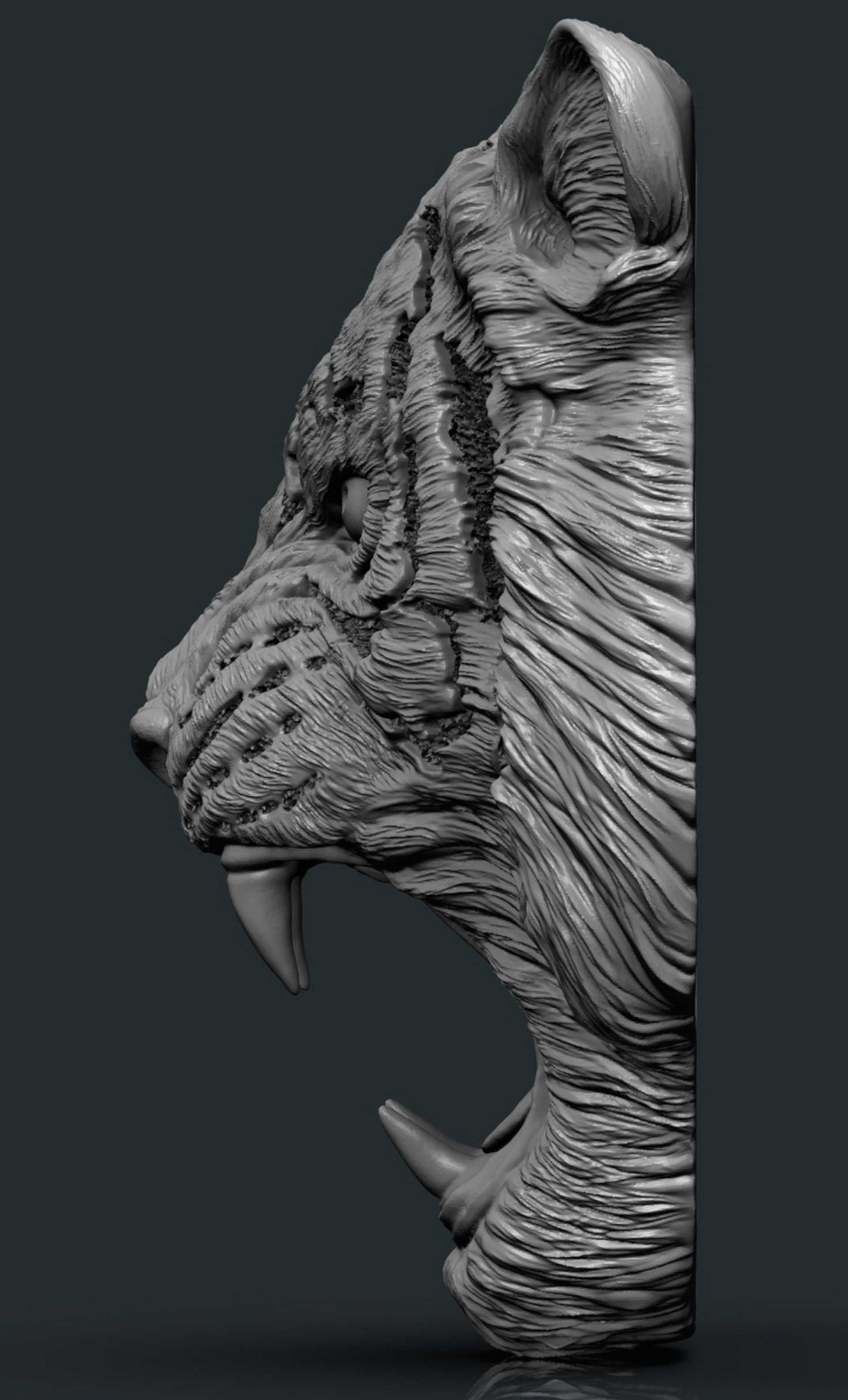 Bas-relief Tiger Head Collection 3D model 3D printable | CGTrader