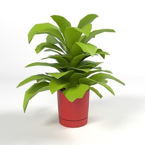 3D model INDOOR PLANT CARTOON VR / AR / low-poly | CGTrader