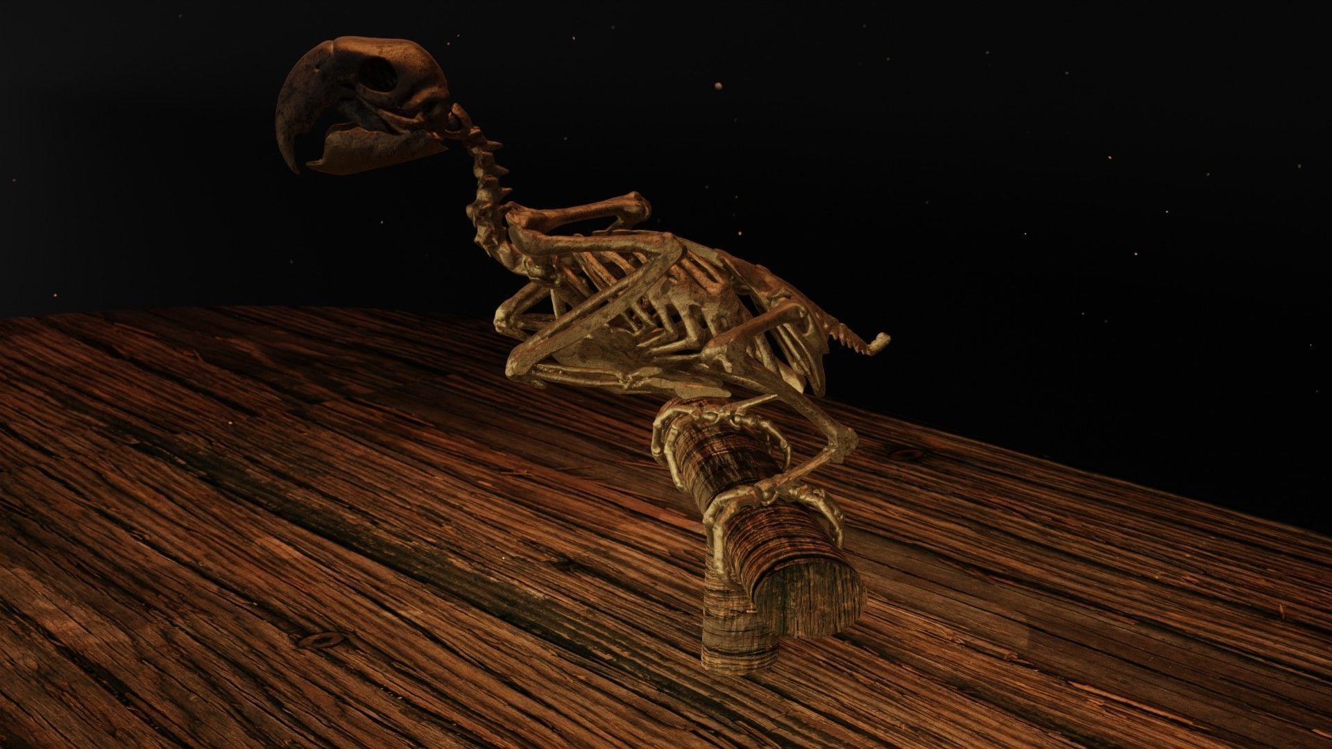 Macaw Skeleton 3D model 3D printable | CGTrader