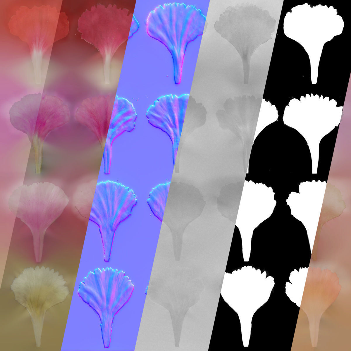 Carnation VFX Grace 3D model | CGTrader