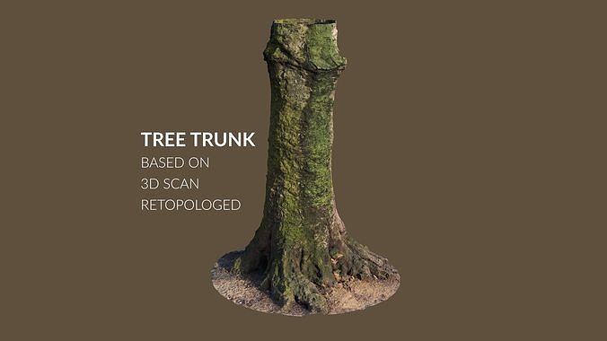 Tree trunk 3d scan retopologed free 3D model | CGTrader