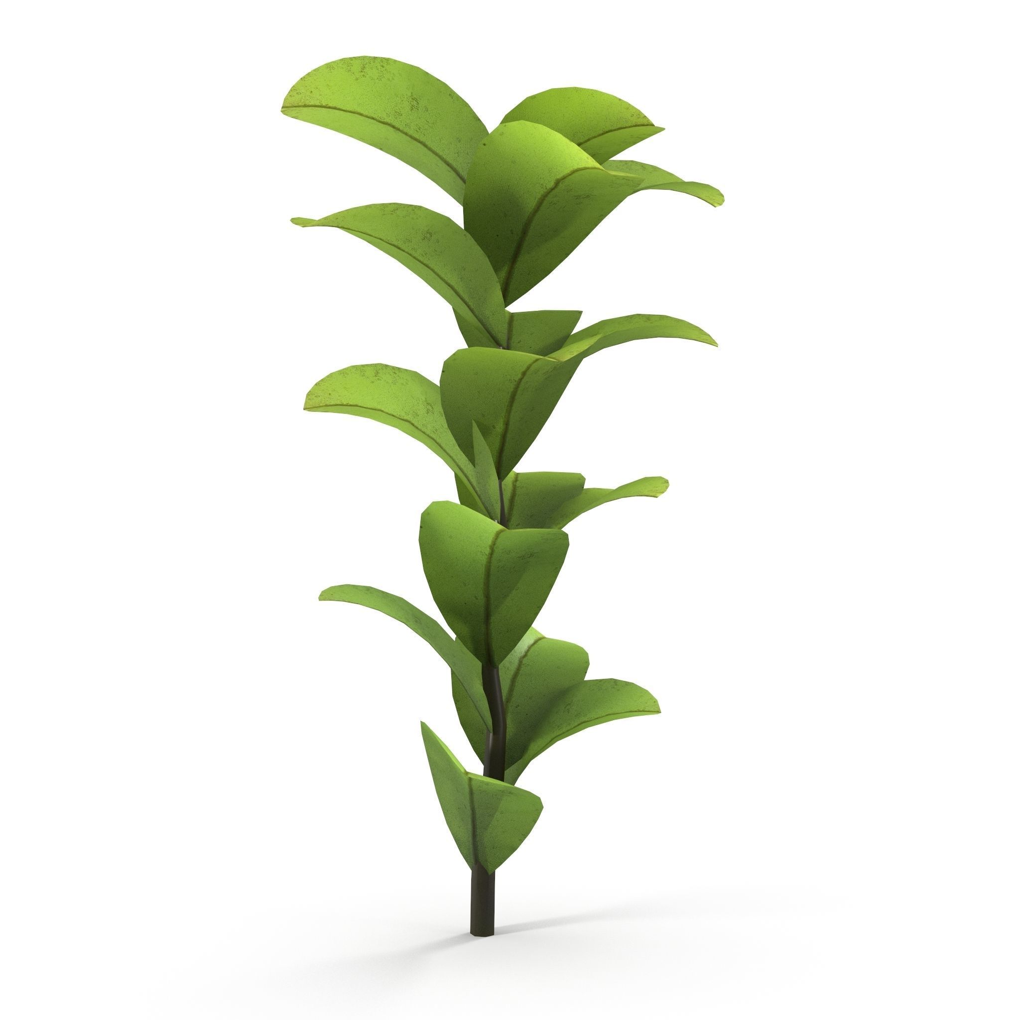 3D model Dotted moss VR / AR / low-poly | CGTrader