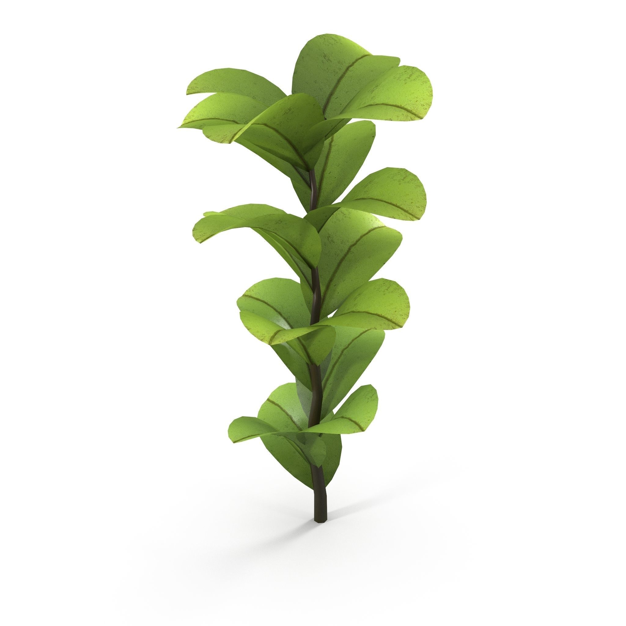 3D model Dotted moss VR / AR / low-poly | CGTrader