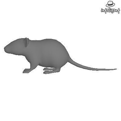 3D model Low Poly Mouse VR / AR / low-poly | CGTrader