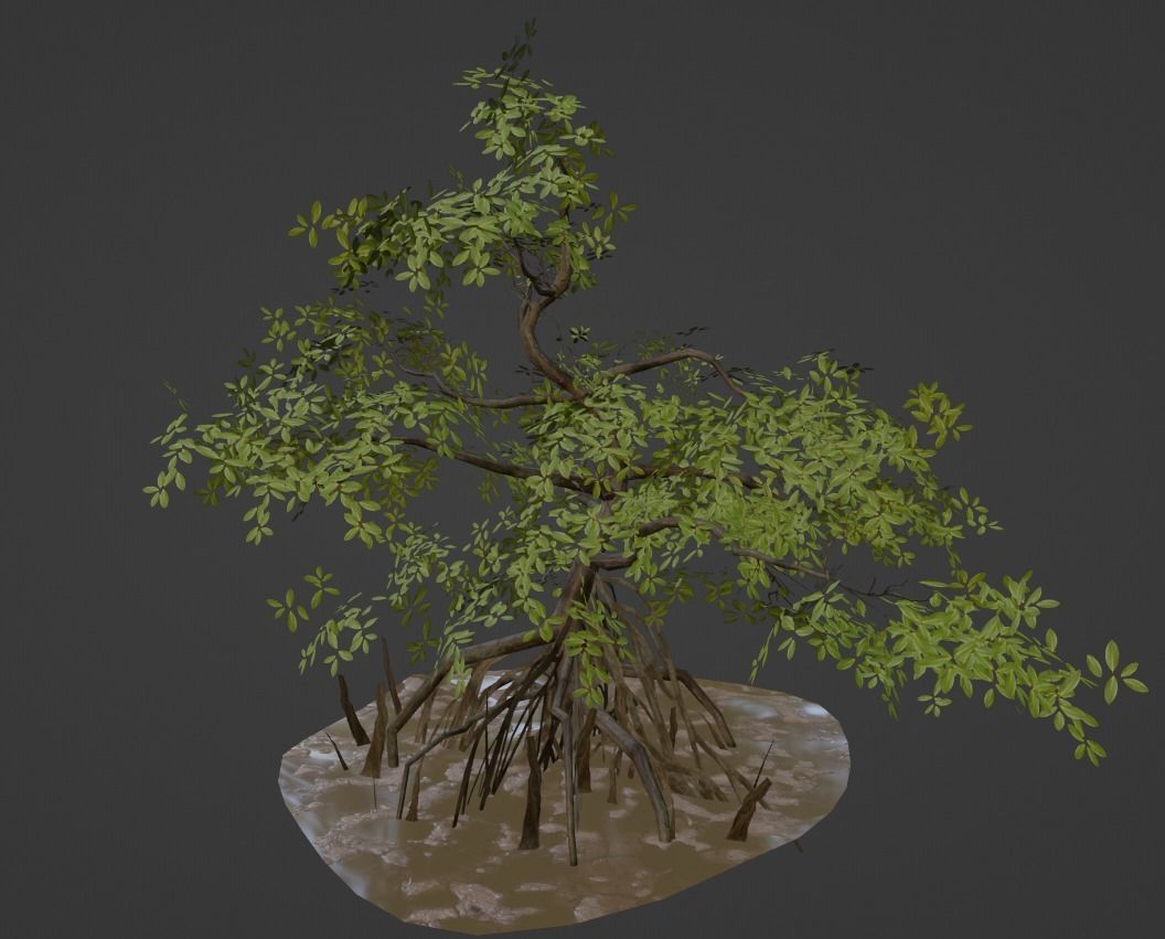 3D model Mangrove Tree VR / AR / low-poly | CGTrader