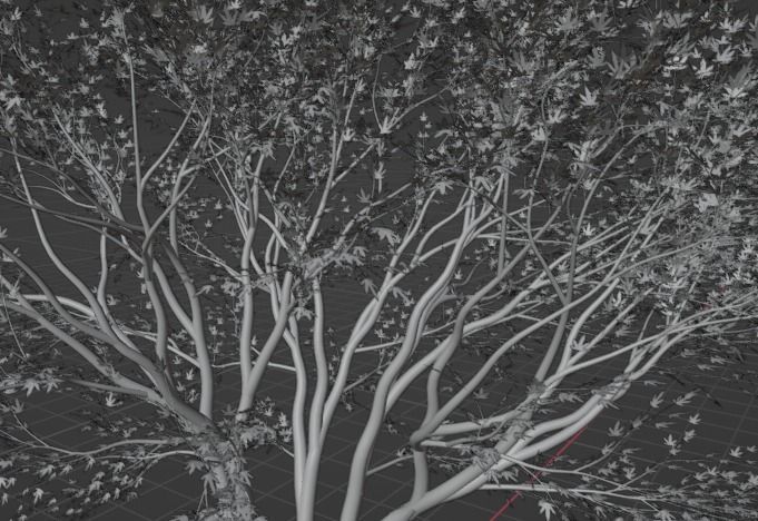 Japanese maple tree free 3D model animated rigged | CGTrader