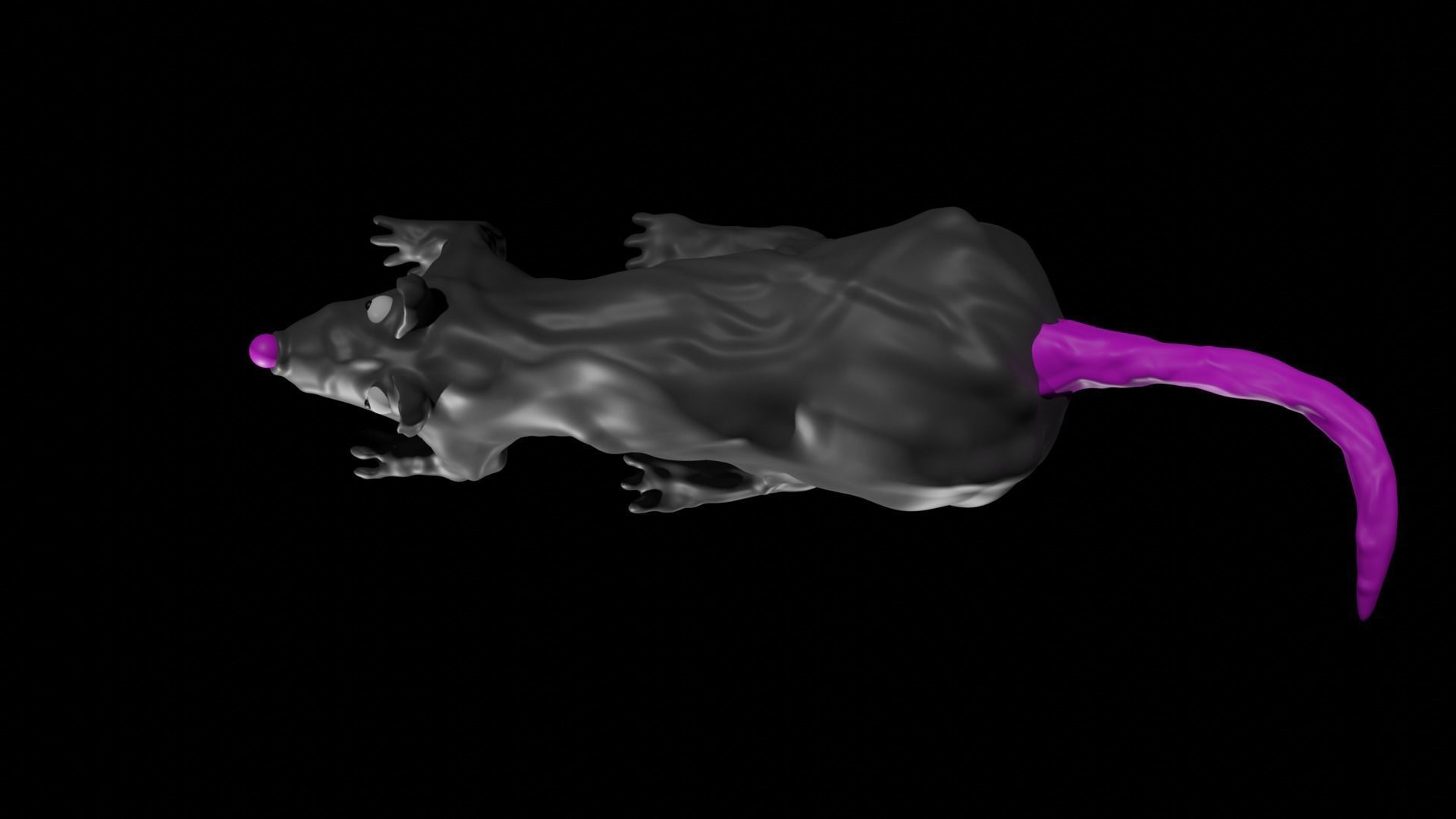 Thick Rat free 3D model | CGTrader