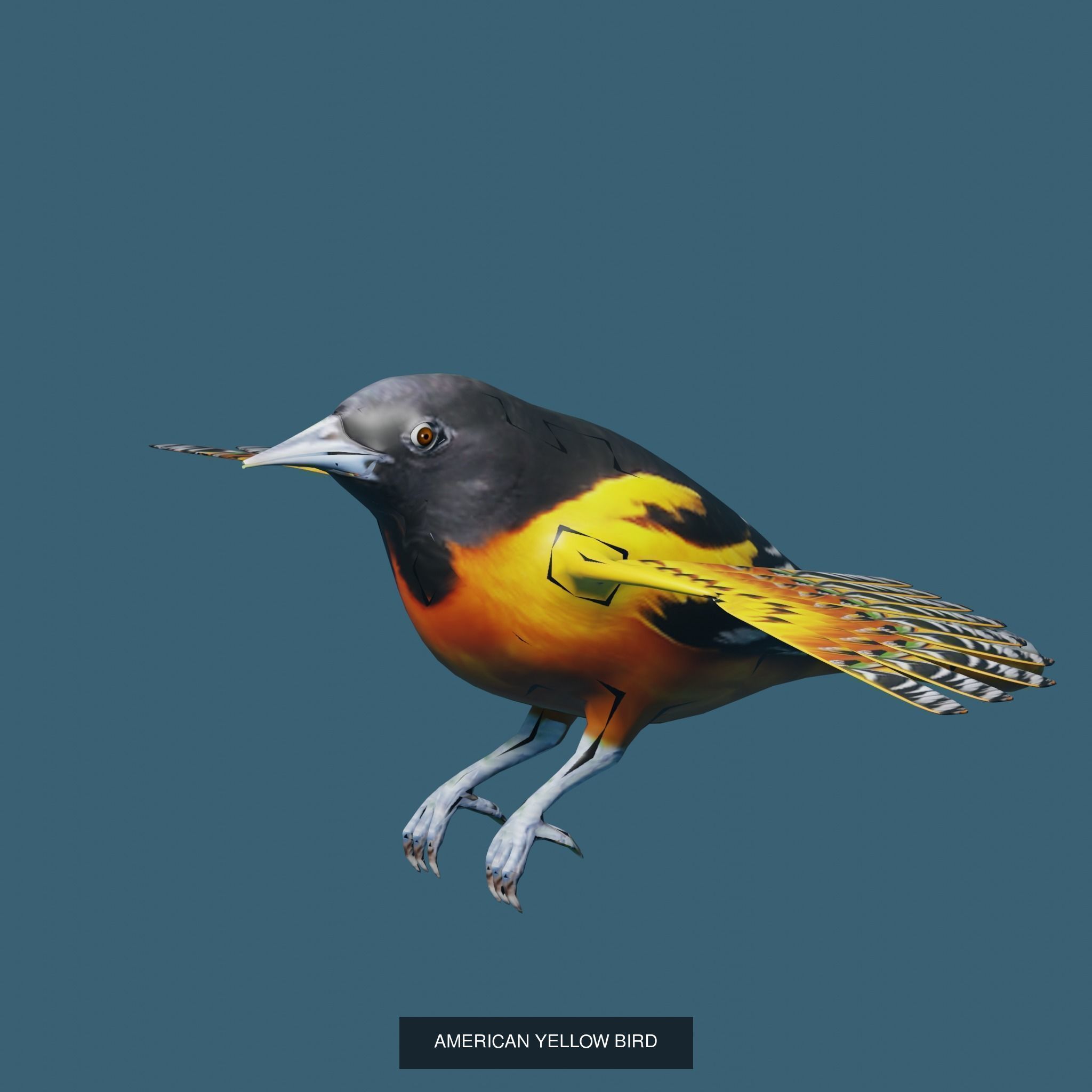 BIRD COLLECTION | CGTrader