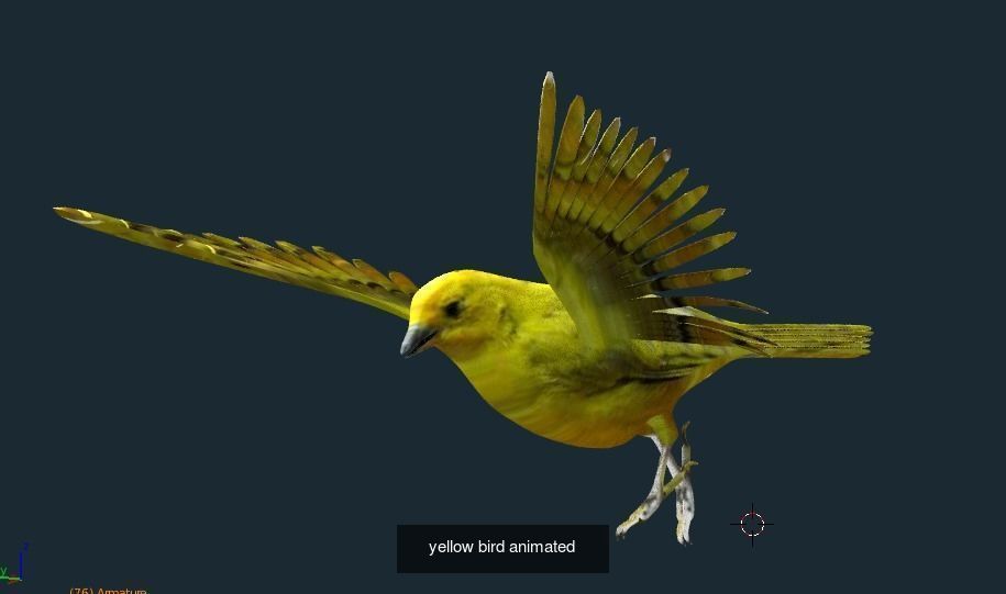 BIRD COLLECTION | CGTrader