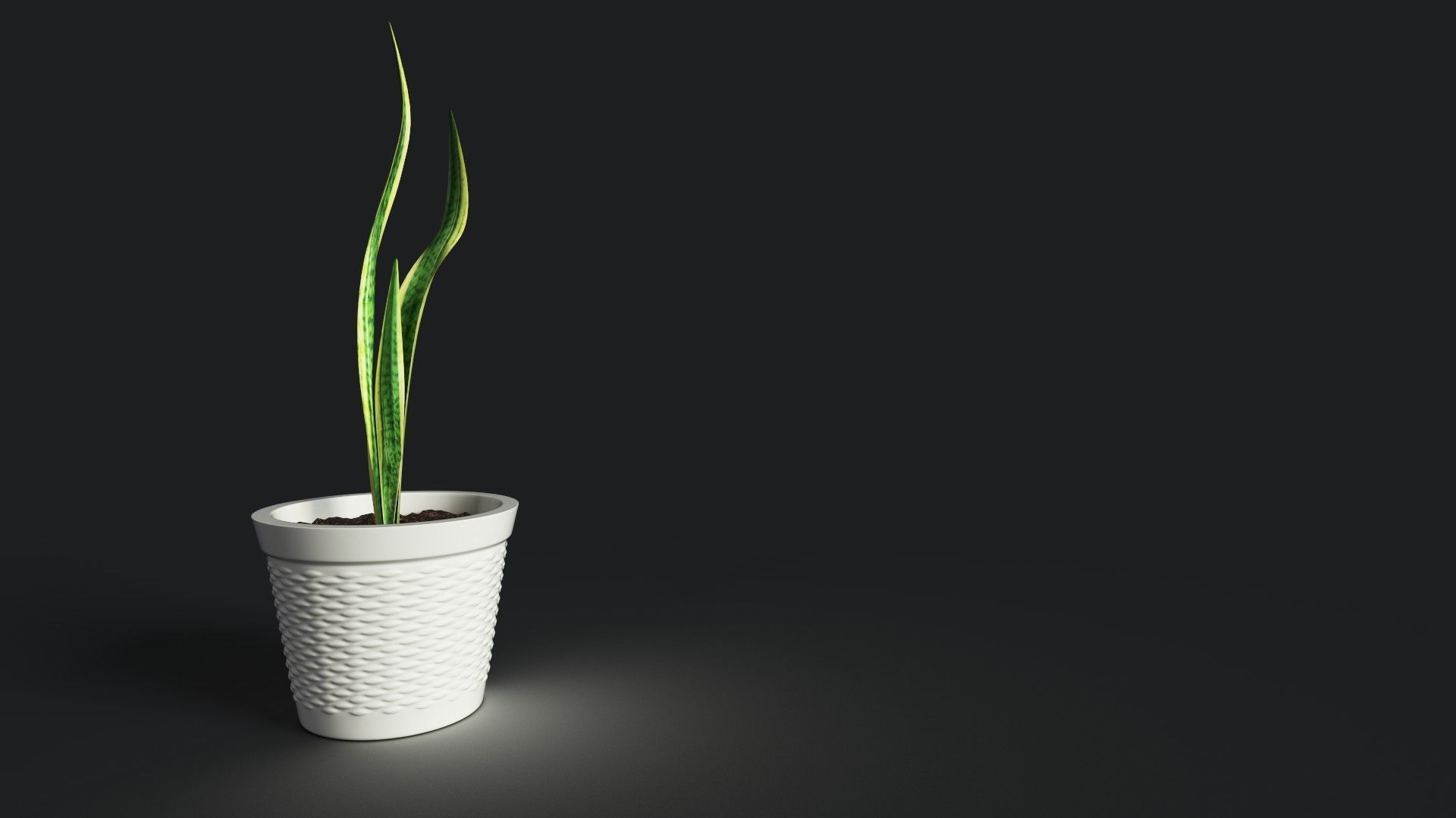 3D model sneck plant 3D model with texture VR / AR / low-poly | CGTrader