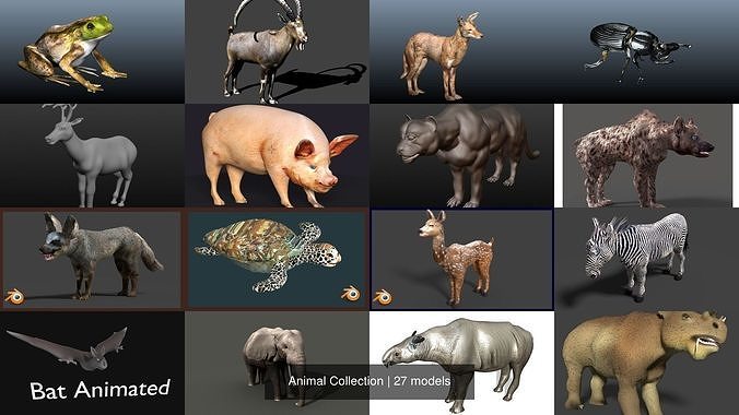 Animal Collection | CGTrader