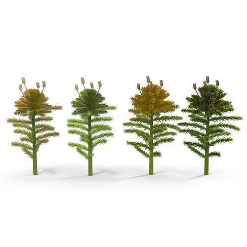 3D model Sphagnum fallax VR / AR / low-poly | CGTrader