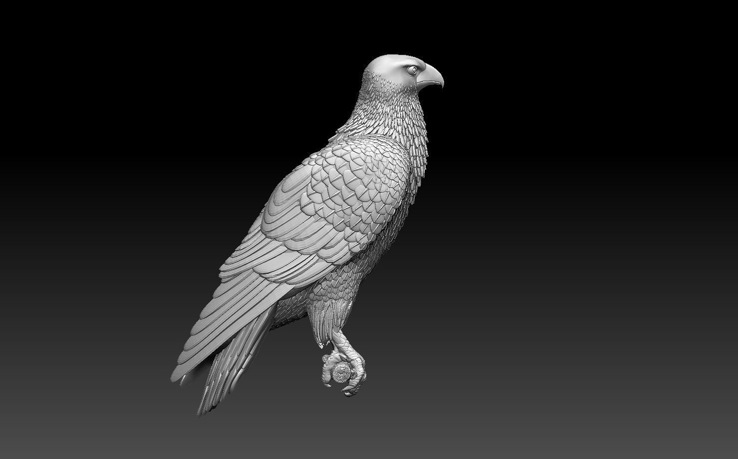 hawk bird 3D model 3D printable | CGTrader