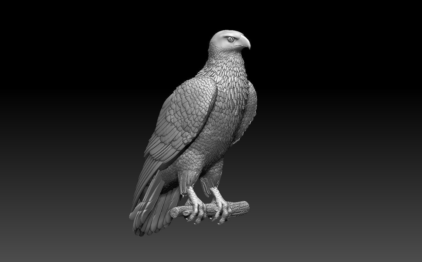 hawk bird 3D model 3D printable | CGTrader