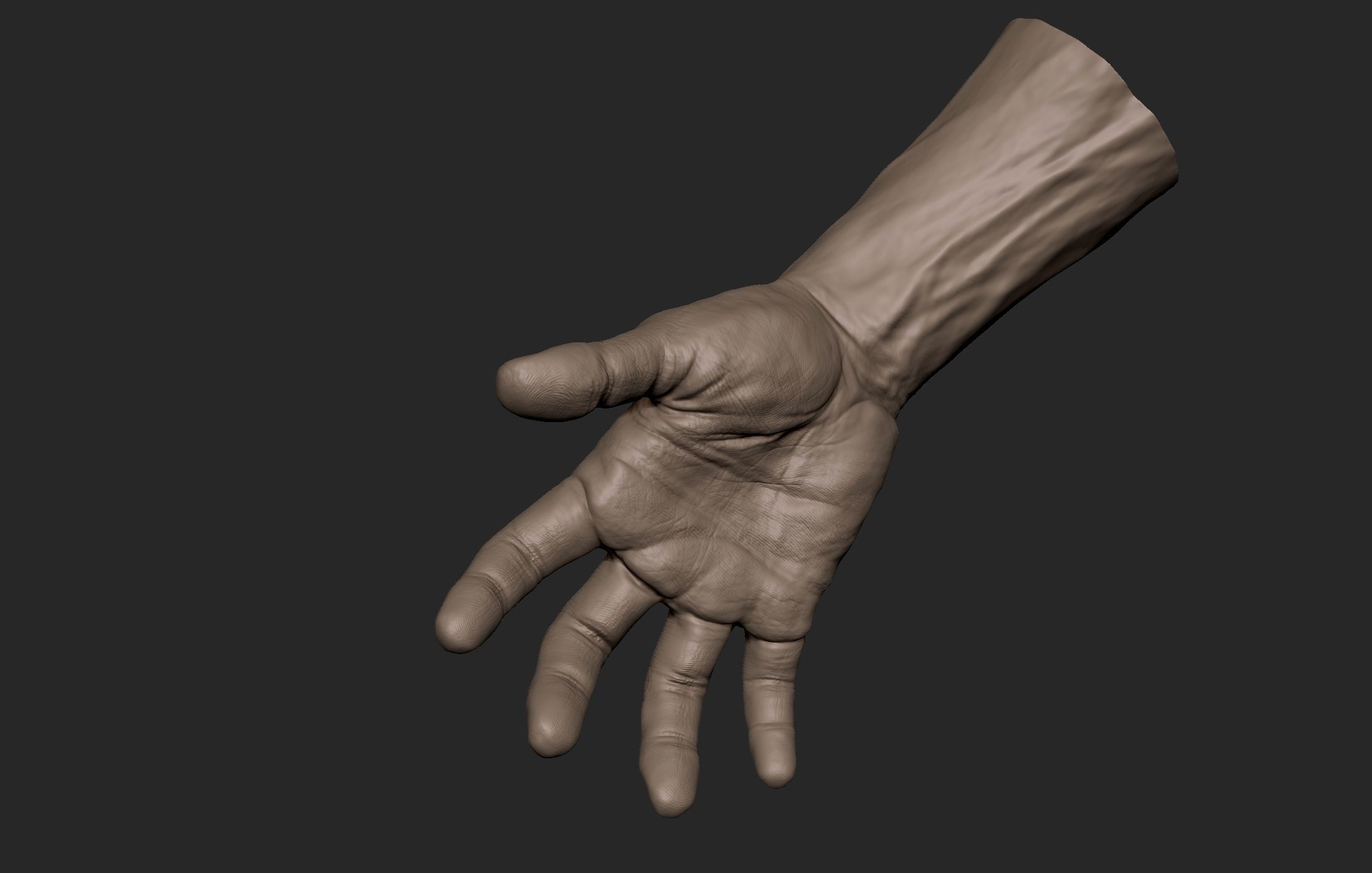 Realistic Male Hand Sculpt 2 3D model | CGTrader