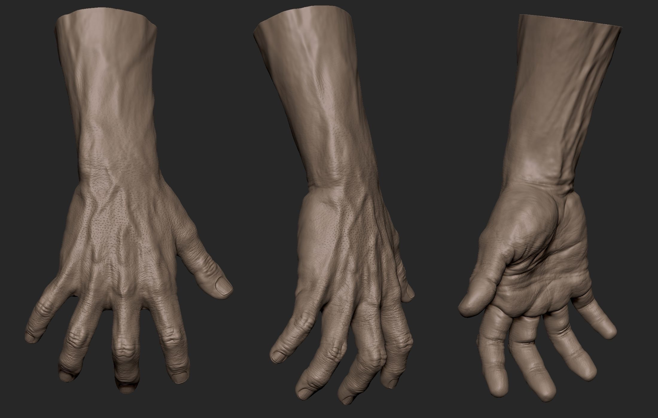 Realistic Male Hand Sculpt 2 3D model | CGTrader