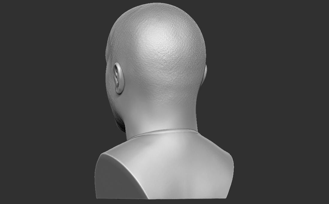 Joe Rogan bust for 3D printing 3D model 3D printable | CGTrader