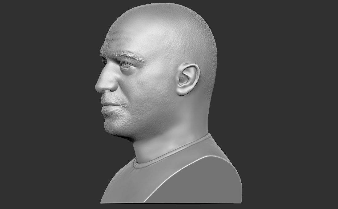 Joe Rogan bust for 3D printing 3D model 3D printable | CGTrader