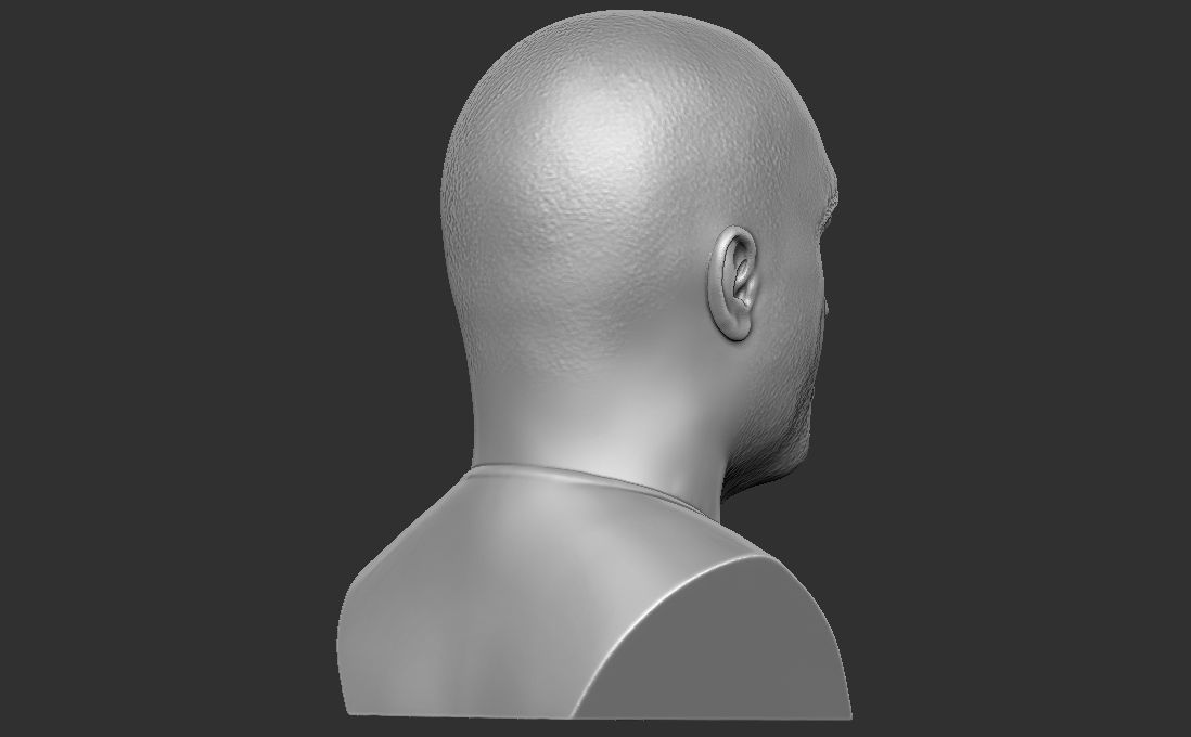Joe Rogan bust for 3D printing 3D model 3D printable | CGTrader