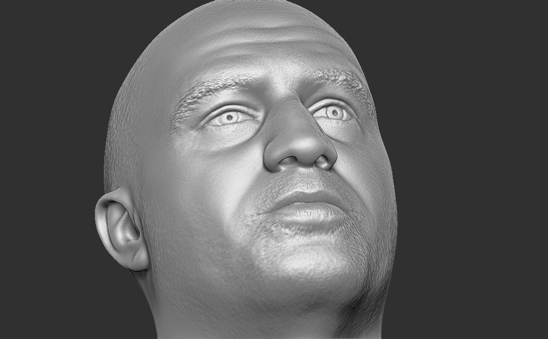 Joe Rogan bust for 3D printing 3D model 3D printable | CGTrader