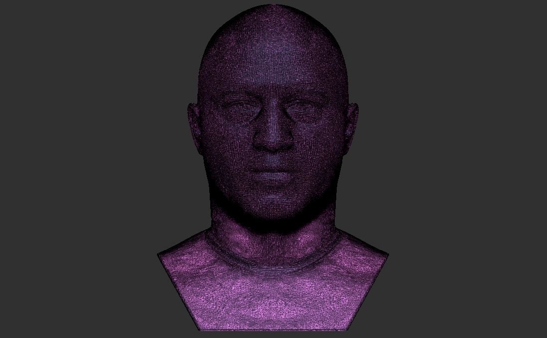 Joe Rogan bust for 3D printing 3D model 3D printable | CGTrader