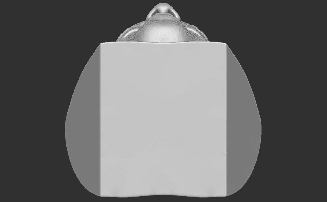 Joe Rogan bust for 3D printing 3D model 3D printable | CGTrader